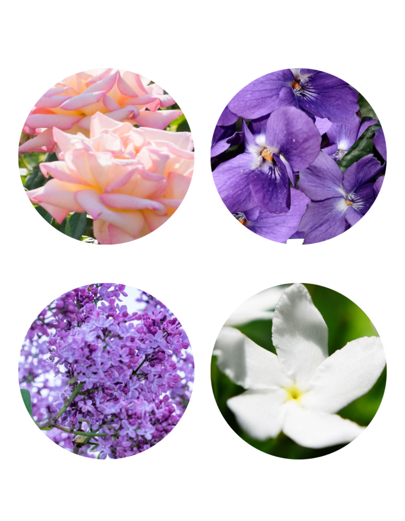 Kit Senteurs Printemps - Le Ptit Sniff